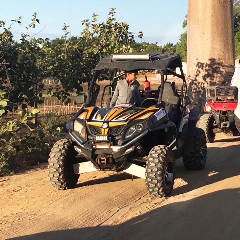 Buggy CF moto ZFORCE 800 - Rent 501 Madagascar